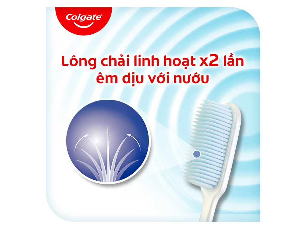 Bàn chải Colgate Flex nguyên khối giá tốt tại Bách hoá XANH