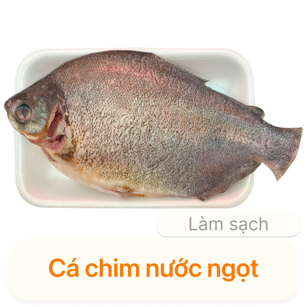 Cá chim nước ngọt làm sạch giá rẻ tại Bách hoá XANH