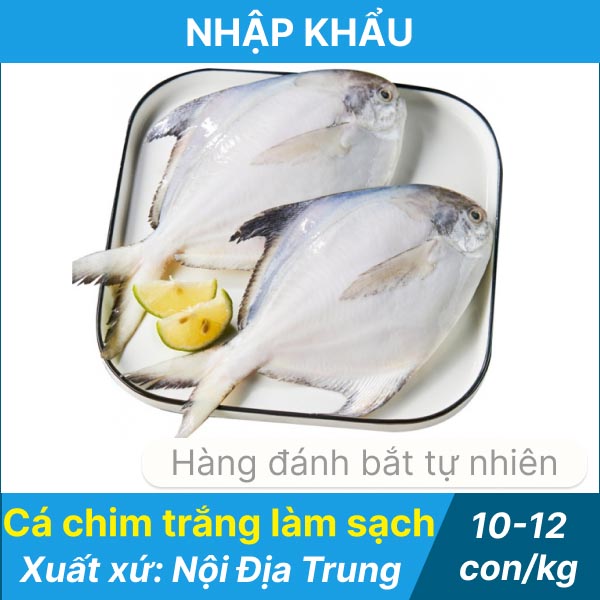 Cá chim trắng làm sạch nhập khẩu giá rẻ tại Bách hoá XANH