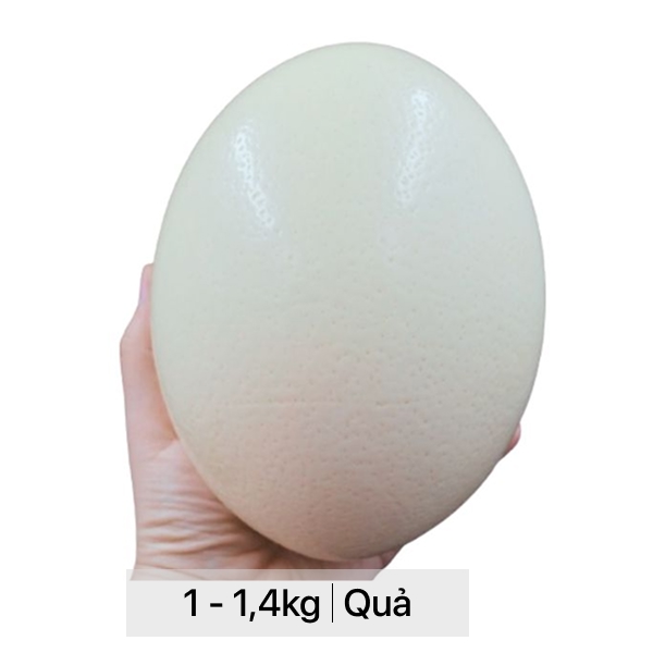 Trứng đà điểu Bách hoá XANH giá tốt tại Bách hoá XANH