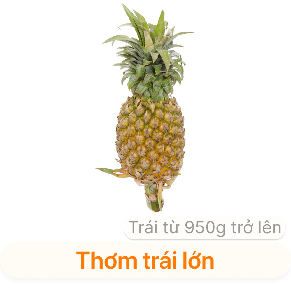 Thơm trái lớn trái từ 950g trở lên giá tốt | Bách Hóa XANH