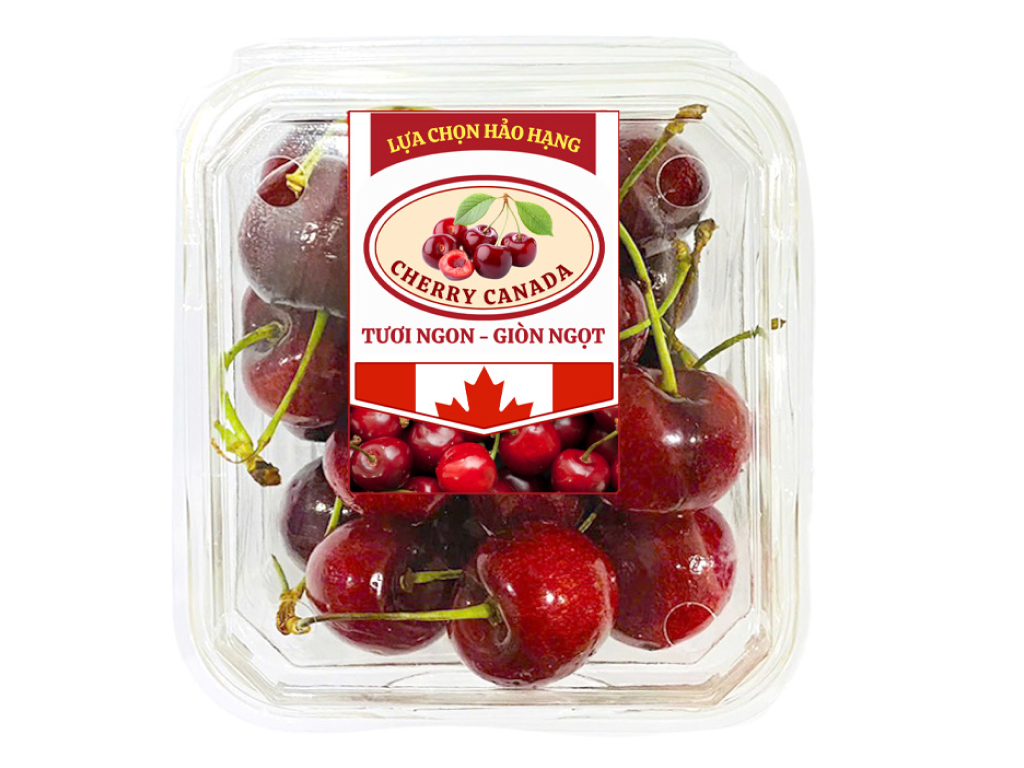 Cherry Canada 250g size 9,10 tươi ngon Bách hóa XANH