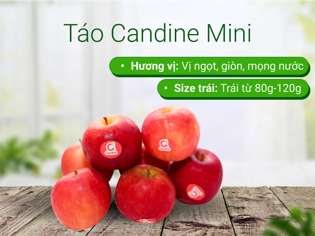 Táo Candine mini trái từ 80g-120g tươi ngon | Bách hoá XANH
