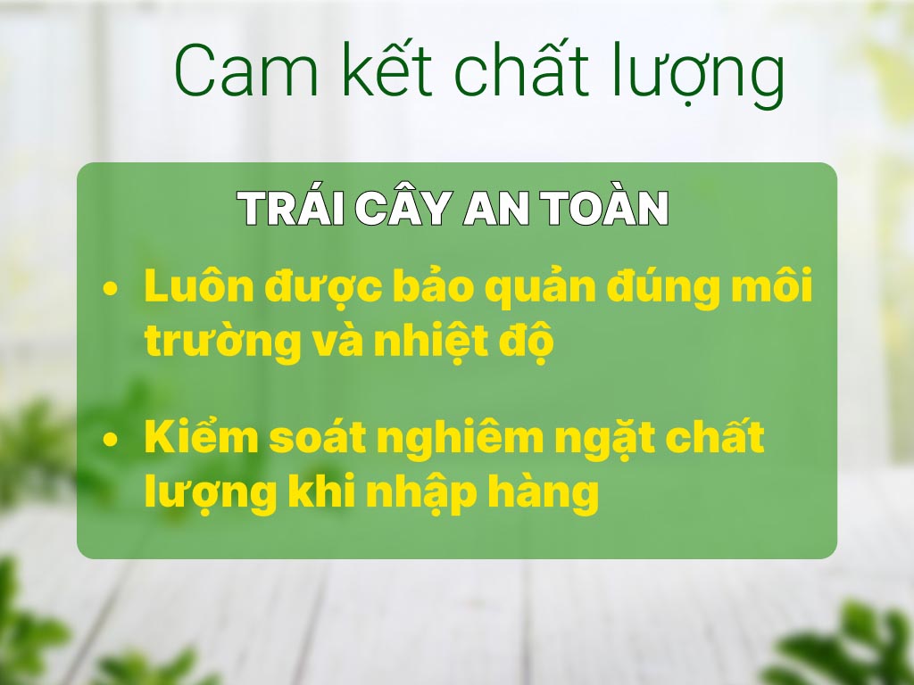 Táo Candine mini trái từ 80g-120g tươi ngon | Bách hoá XANH