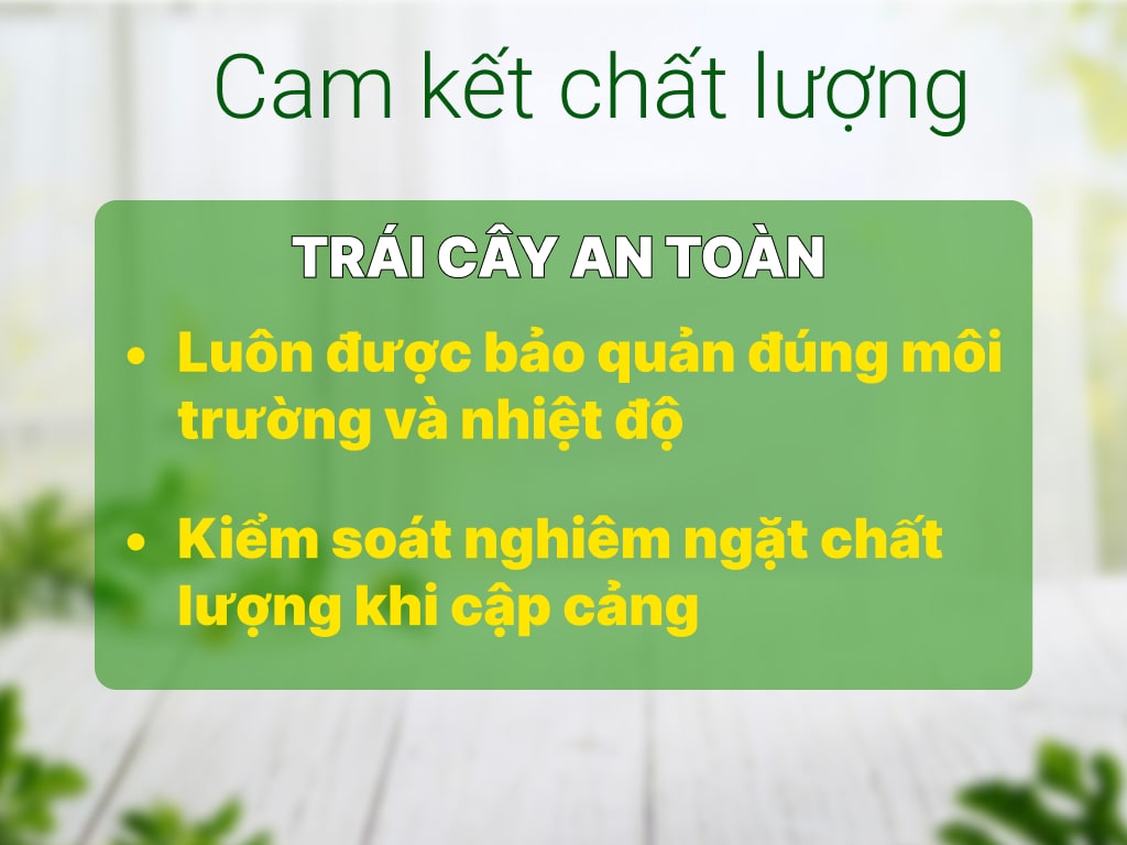Lê nâu Singo nội địa Trung hộp 2 trái tươi ngon