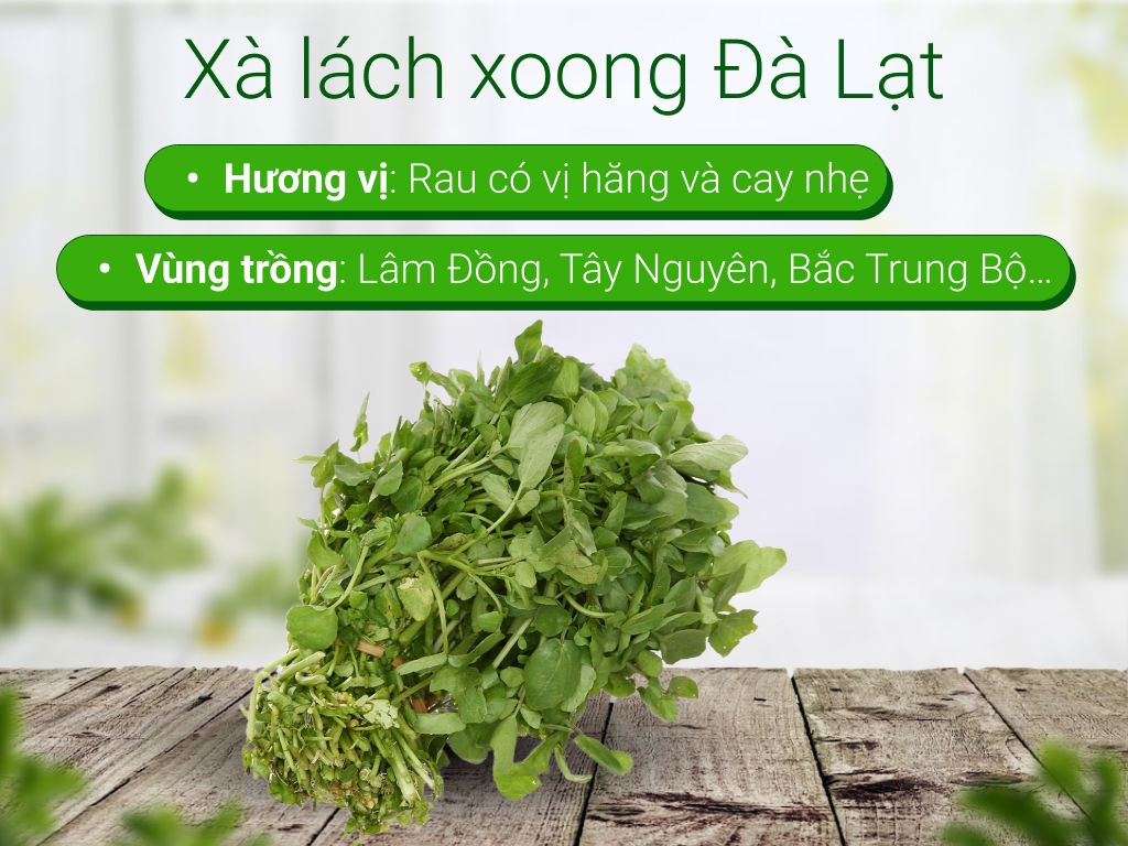 Xà lách xoong Đà Lạt giá tốt tại Bách hoá XANH