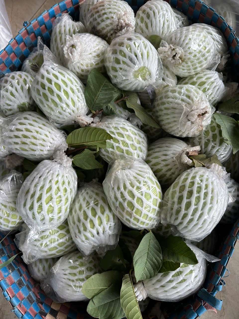 Công ty TNHH thanh hồng tân hưng