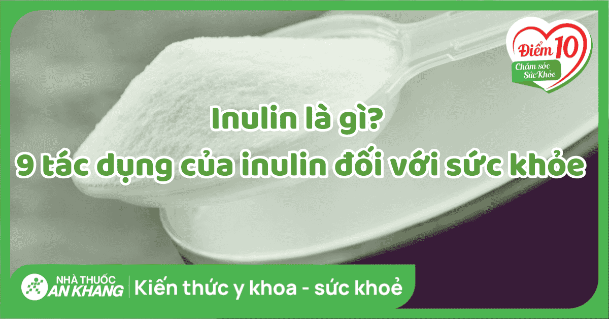 Inulin là gì? 9 tác dụng của inulin đối với sức khỏe