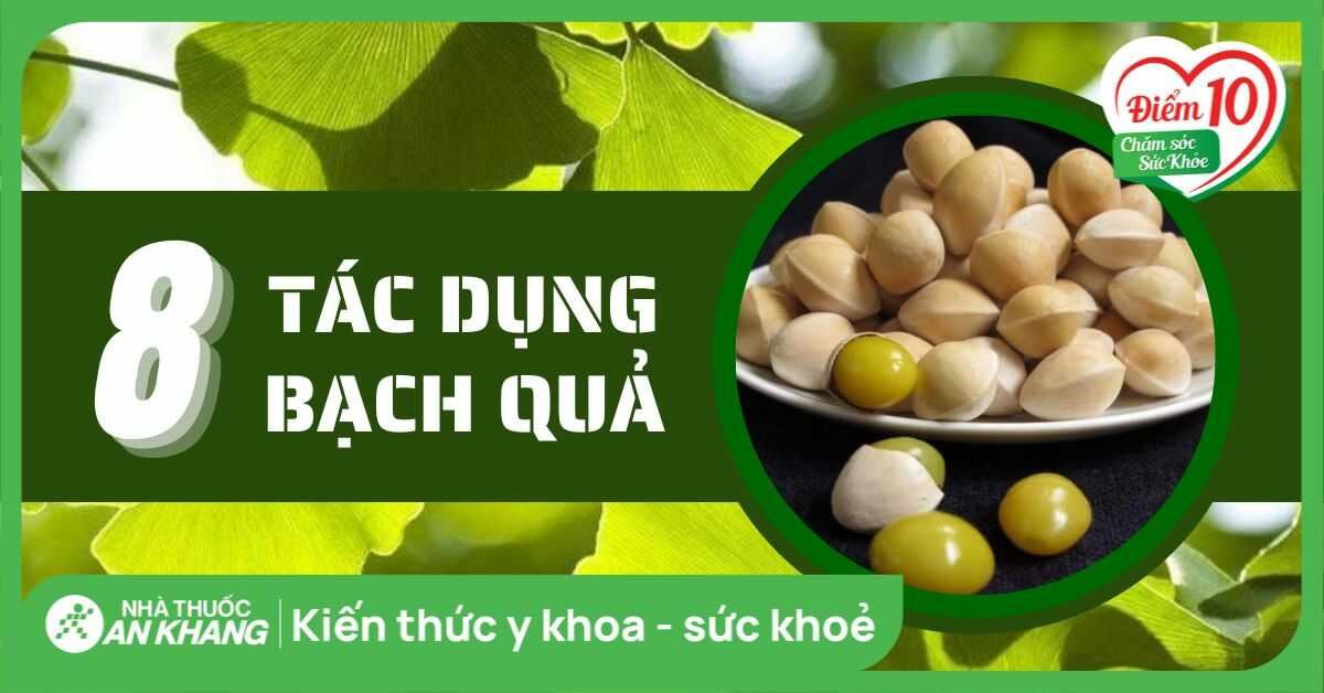 Bạch quả là gì? 8 tác dụng của bạch quả đối với cơ thể bạn nên biết
