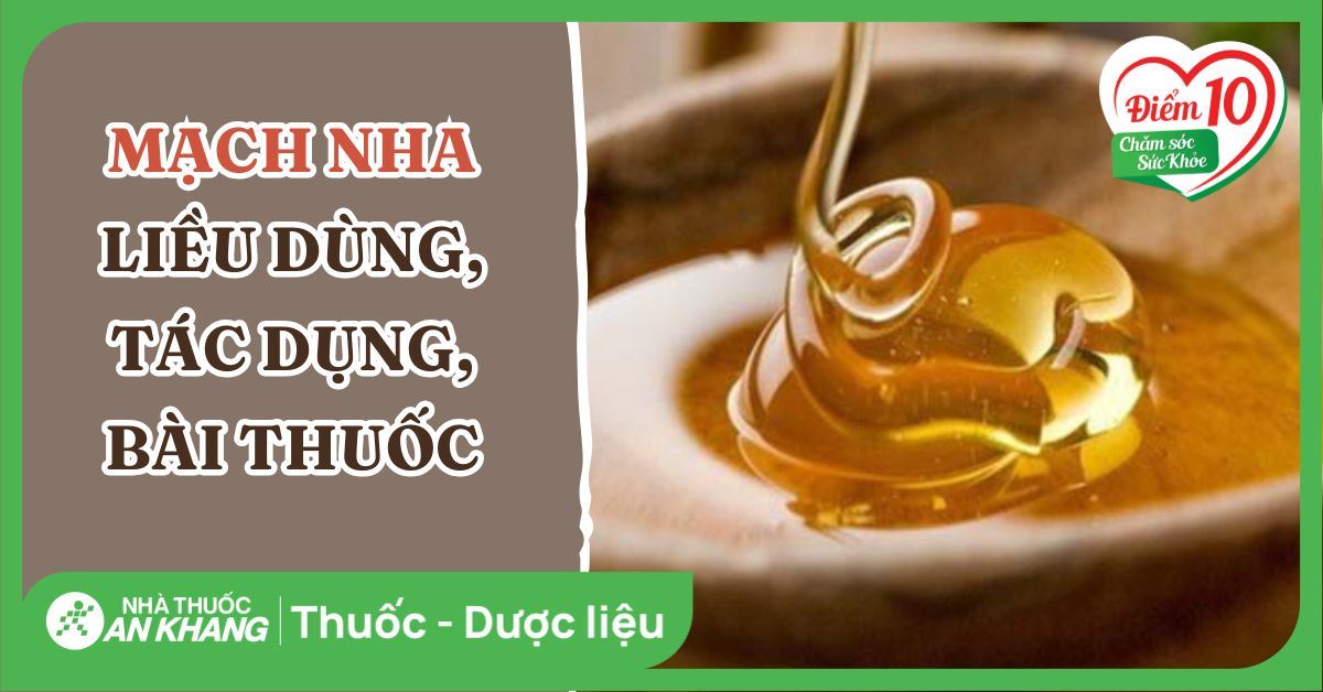 Mạch nha: Tác dụng, liều dùng, bài thuốc