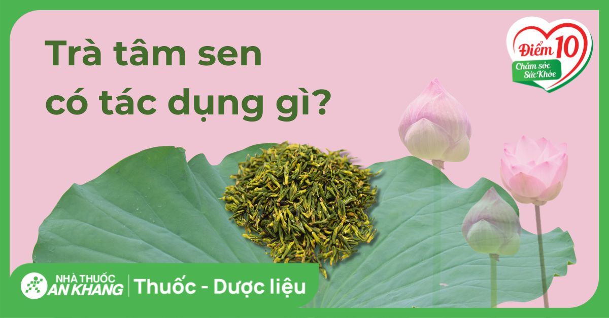 Trà tâm sen có tác dụng gì? 10 lợi ích bất ngờ cho sức khỏe, giấc ngủ