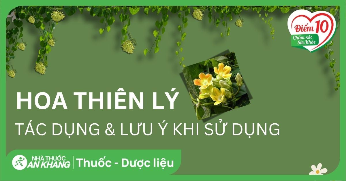 Hoa thiên lý có tác dụng gì? 8 tác dụng, bài thuốc