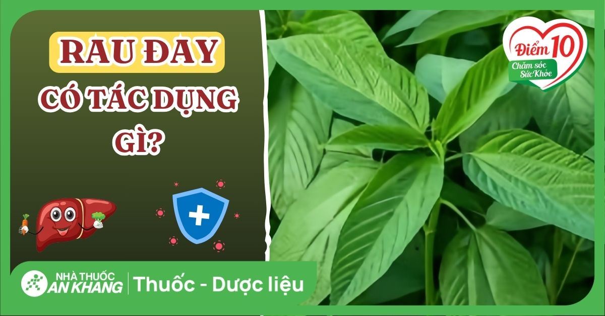 Rau đay có tác dụng gì? 17 tác dụng của rau đay và một số lưu ý