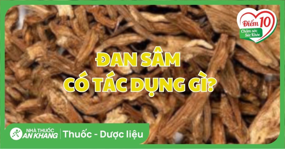 Đan sâm có tác dụng gì? 8 tác dụng của đan sâm với sức khỏe
