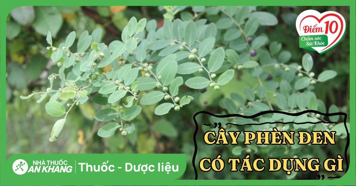 18 loại cây thảo dược tốt cho sức khỏe bạn nên biết