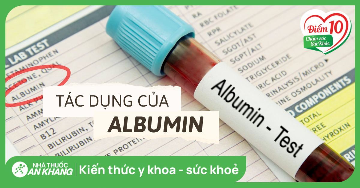 Hành tím có tác dụng gì? 12 công dụng của hành tím cho sức khỏe