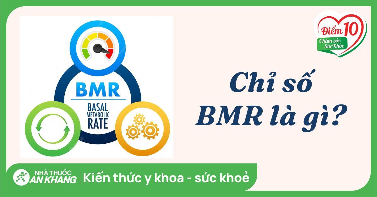BMR là gì? Vai trò và cách tính chỉ số BMR