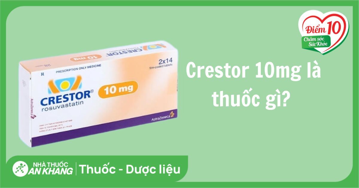 Crestor 10mg là thuốc gì? Công dụng, cách dùng và lưu ý