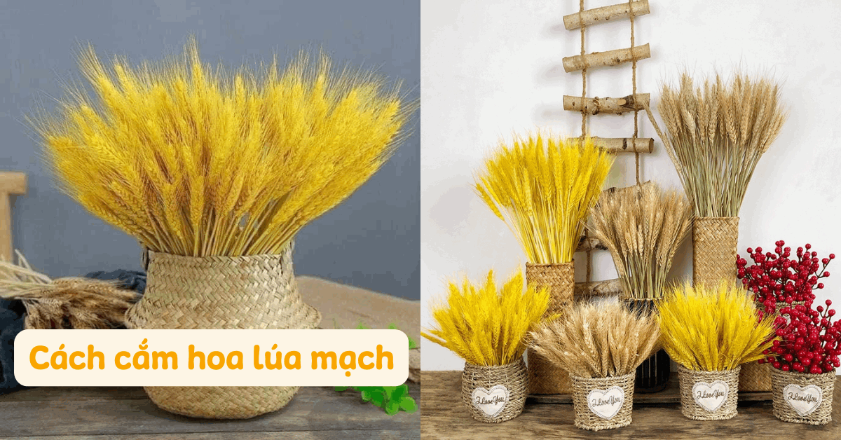 Mách mẹ 4 cách cắm hoa lúa mạch đẹp mắt, dễ thực hiện