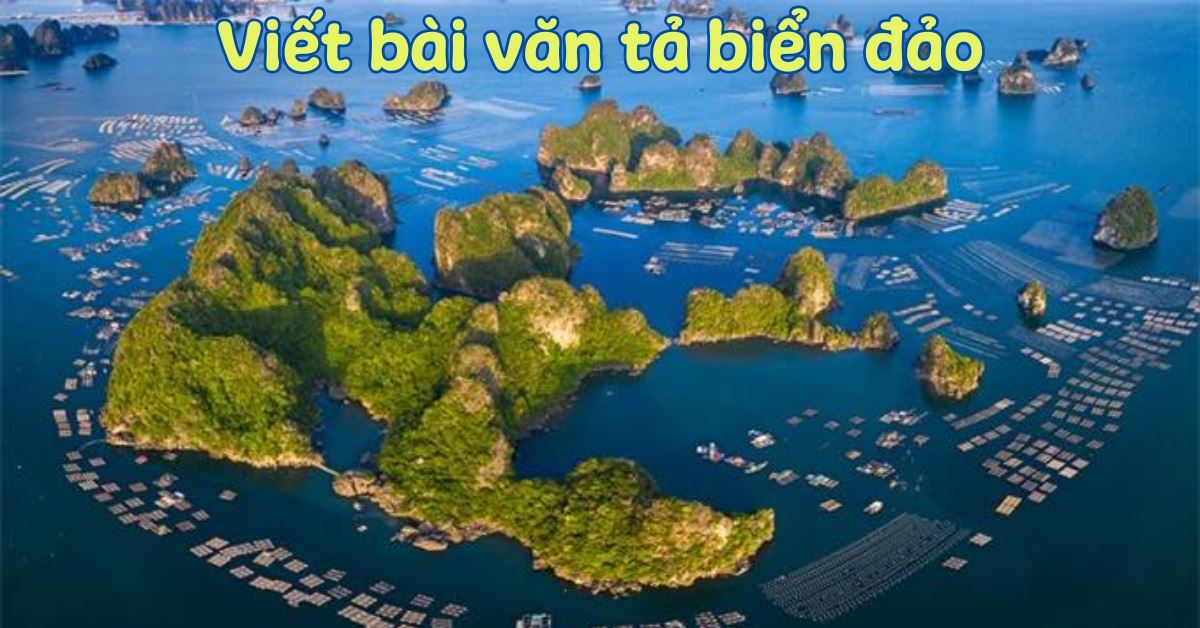 35+ bài văn tả cảnh biển đảo hay, sinh động (điểm cao), giàu cảm xúc