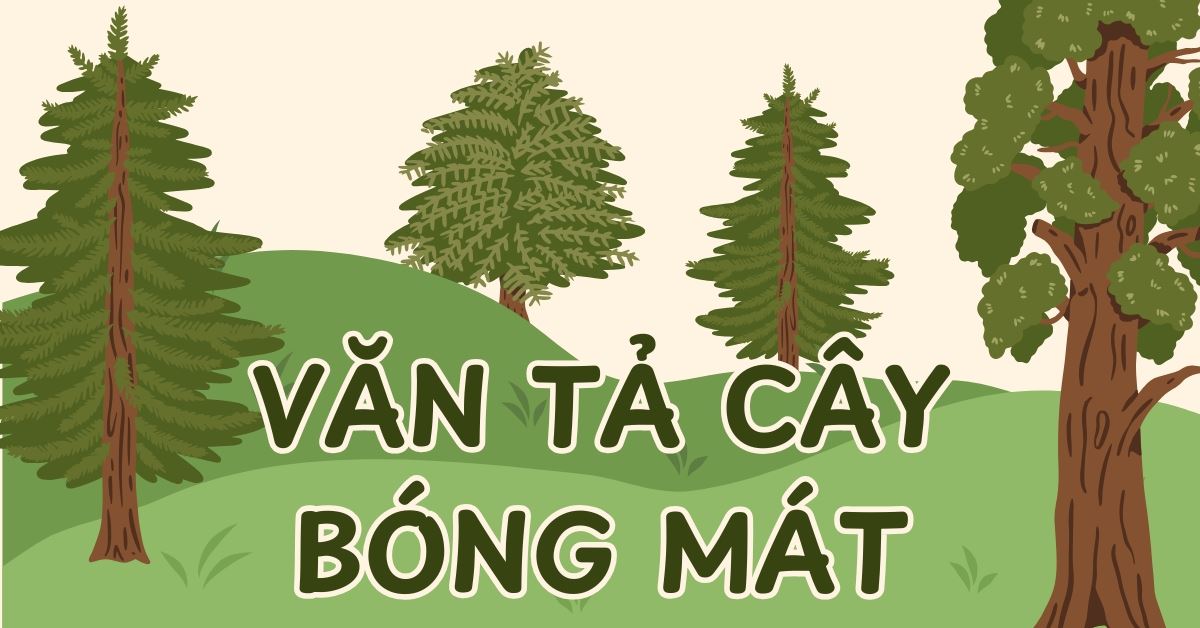 30+ bài văn tả cây bóng mát lớp 4 ngắn, hay, cảm xúc, đạt điểm cao