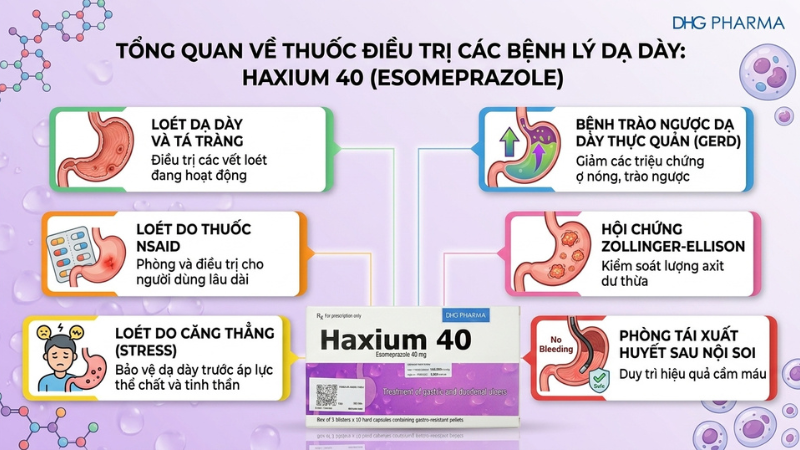 Thuốc Haxium 40 trị trào ngược dạ dày, thực quản - 05/2026 ...