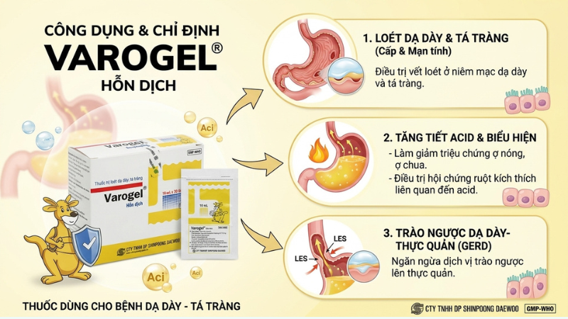 Thuốc Varogel trị viêm loét dạ dày, tá tràng - 03/2026 ...