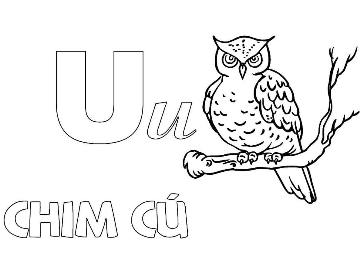 Tranh tô màu 29 chữ cái tiếng Việt cho bé học mà chơi