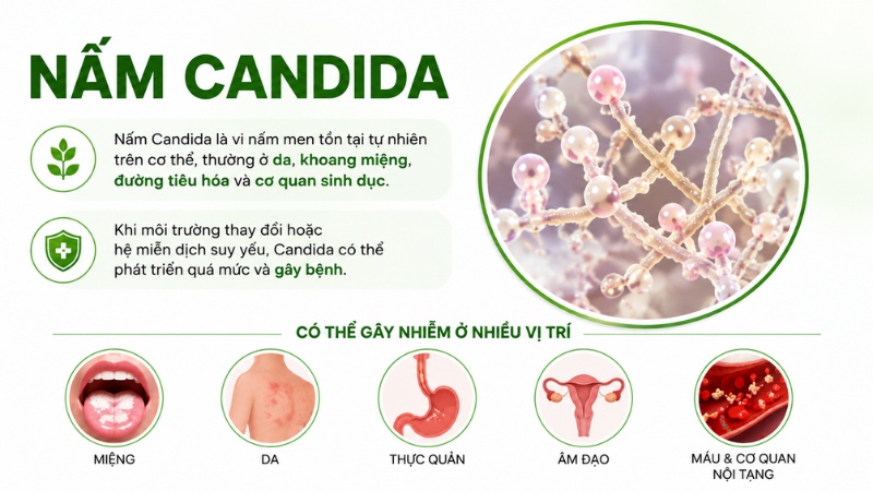 Nhiễm nấm Candida: Nguyên nhân, dấu hiệu và cách điều trị