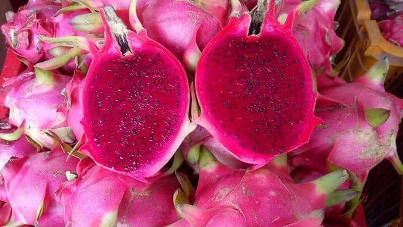 12 công dụng của trái thanh long đối với sức khỏe