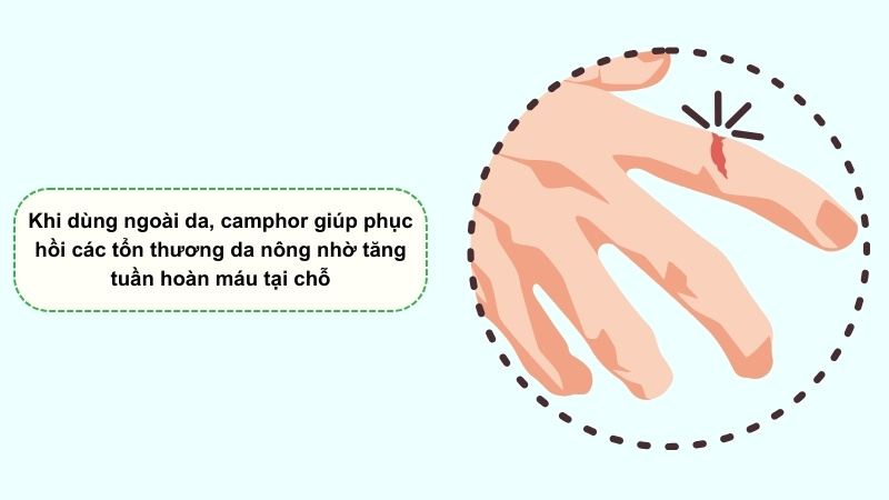 Camphor là gì? Công dụng, cách dùng và lưu ý khi sử dụng