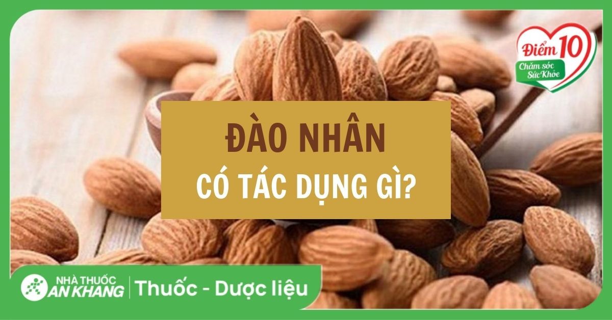 Đào nhân có tác dụng gì? 4 bài thuốc, tác dụng và lưu ý khi dùng
